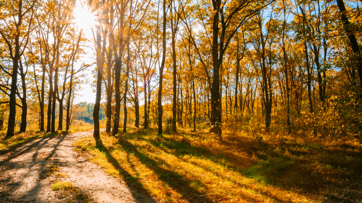 Dr. Roberta Bondar Elementary
